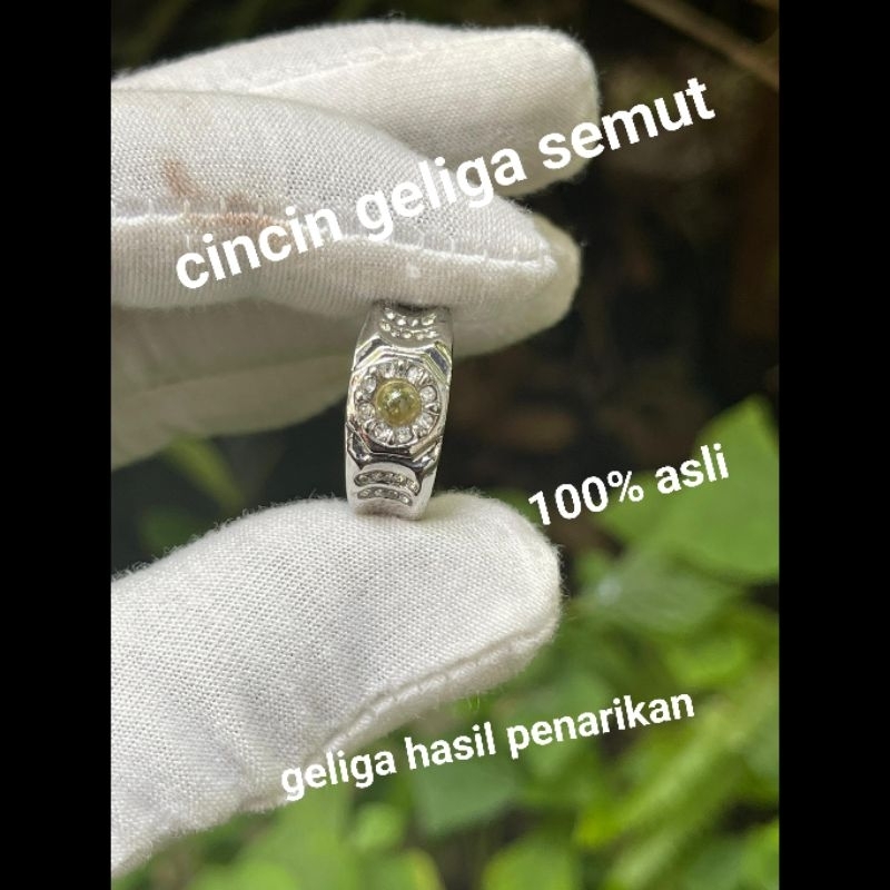 cincin geliga semut asli | Shopee Malaysia