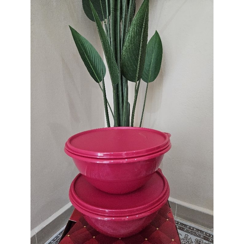 LIVE LOCK ONLY ( TUPPERWARE) | Shopee Malaysia