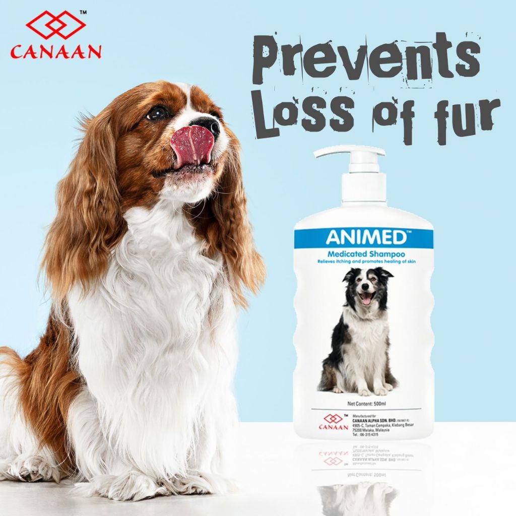 CANAAN ANIMED Medicated Skin Disease Anti Itch Shampoo for Dogs (500ml ...
