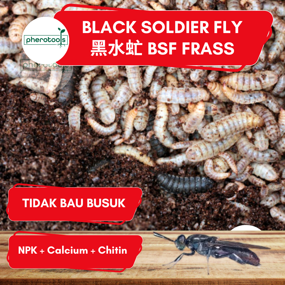 BAJA ORGANIK 1KG BSF Frass Organic Fertilizer 黑水虻 Black Soldier Fly Frass (Baja Organik ...