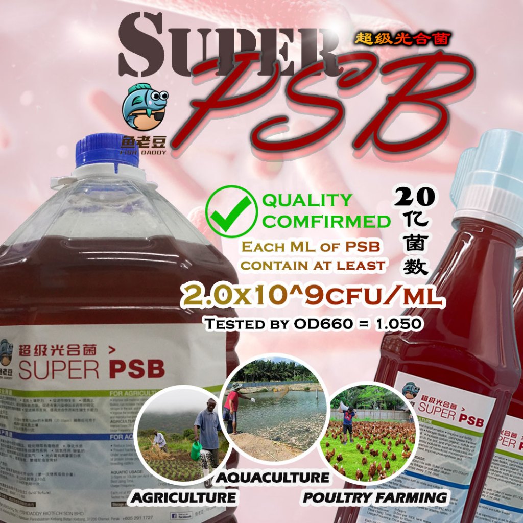 [Fish Daddy Official鱼老豆] 5L Super PSB | Aquaculture Agriculture Use ...