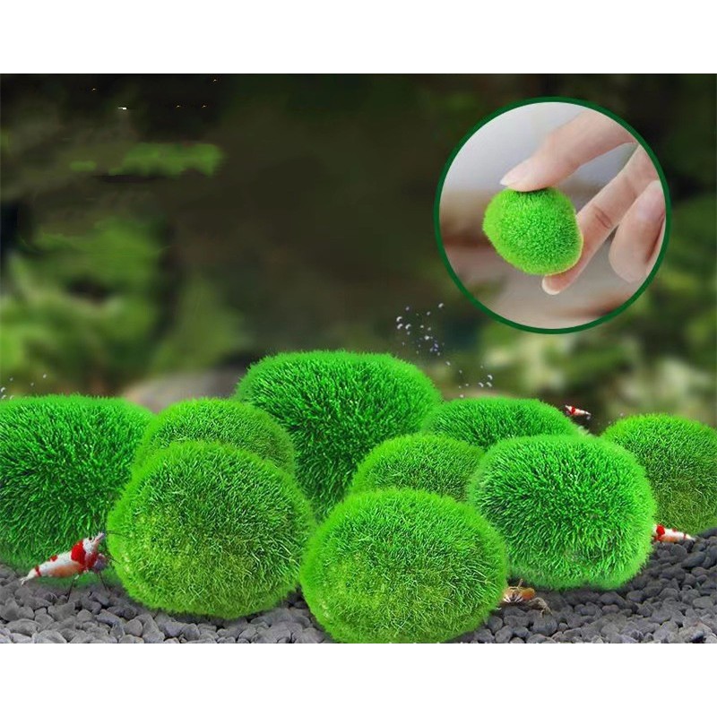 🔥Artificial Green Algae Ball🔥 Moss Ball Fake Plant Aquarium Decorations ...