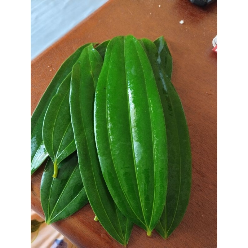 DAUN TEJA LAWANG (30 helai daun ) | Shopee Malaysia