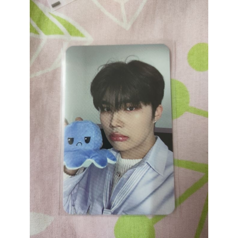 ZB1 gunwook angry octopus pc | Shopee Malaysia