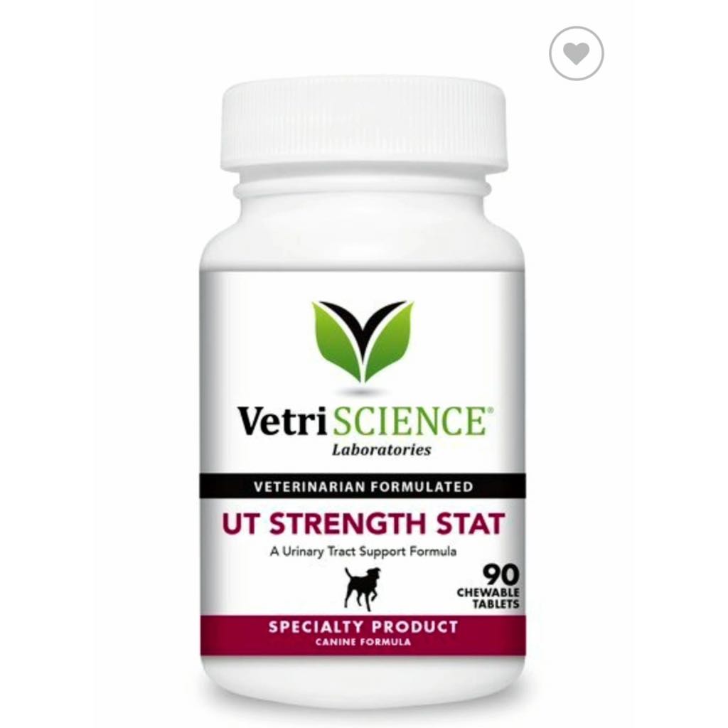 Vetriscience UT Strength Stat canine formula for urinary infection and ...