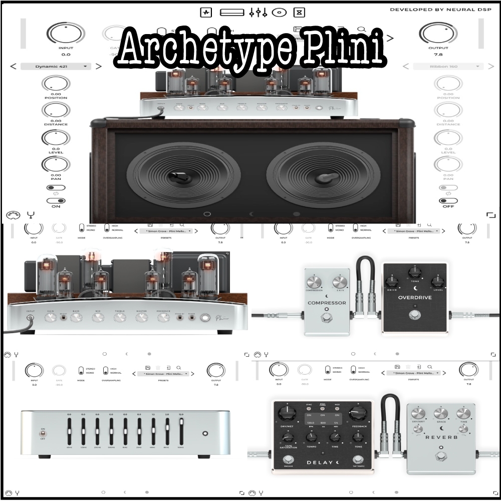 Neural DSP Archetype Plini Guitar Effect Processing VST AAX Plugin For ...