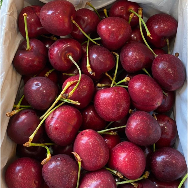 Australia Tasmania Premium Cherries 澳洲塔斯马尼亞州樱桃 | Shopee Malaysia