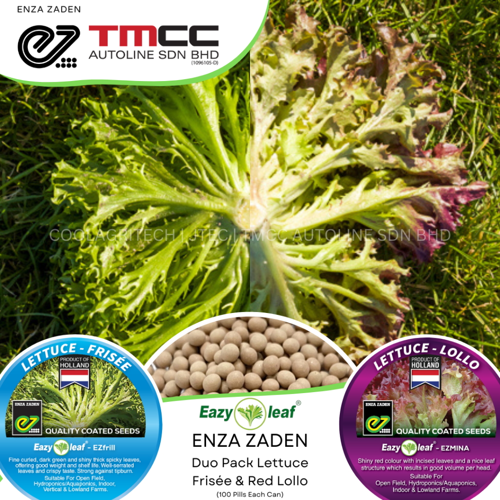 Enza Zaden - EazyLeaf® Ezatrix & Ezmina & Ezfrill - Coated Lettuces ...