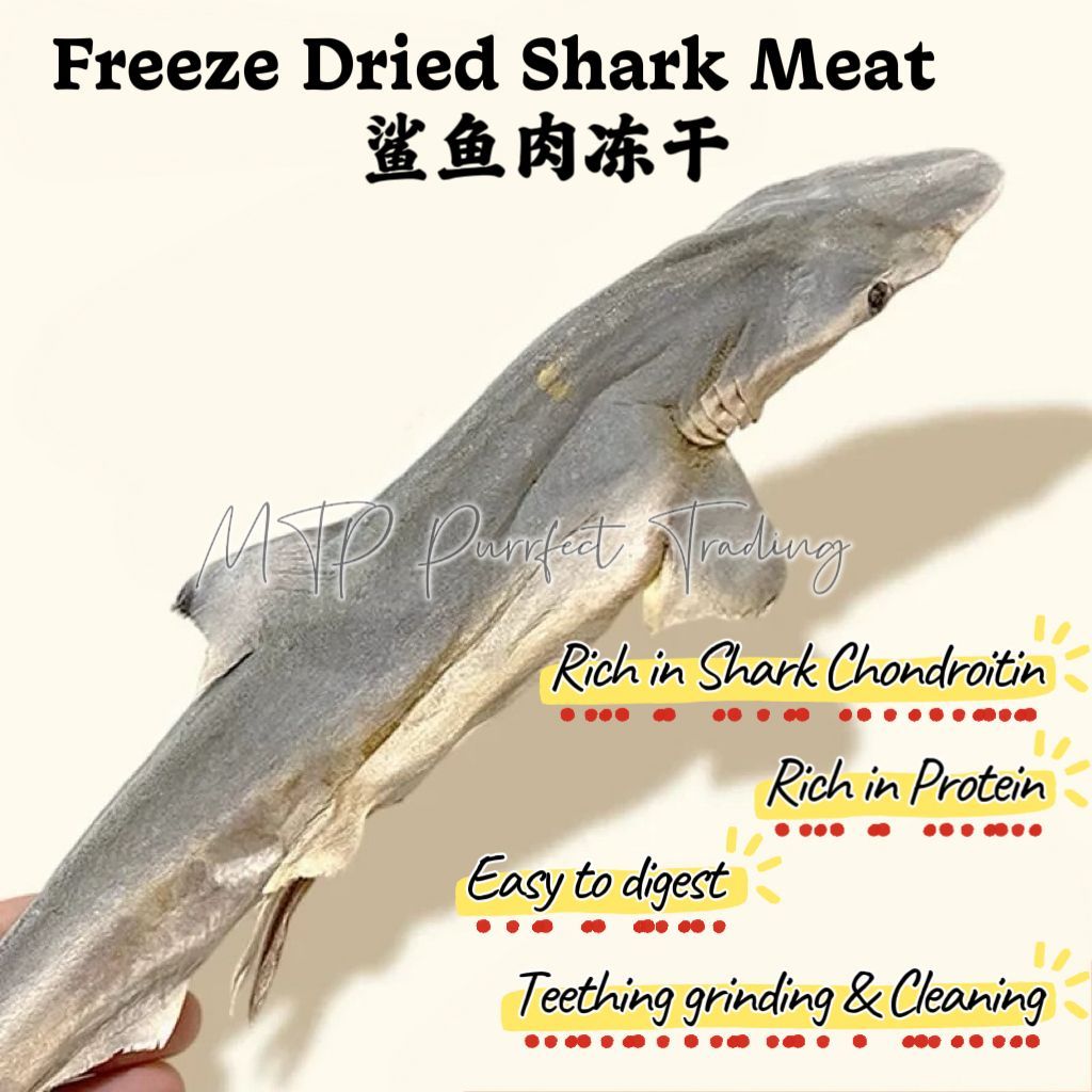 Freeze Dried Shark Meat Pet Snack Makanan Kucing Anjing 冻干小鲨鱼 13cm/20cm ...