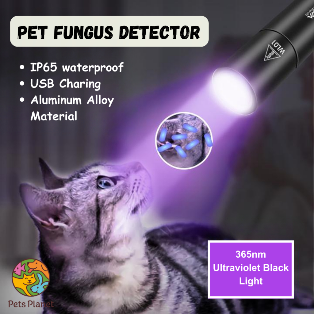 UV Light Cat Fungus Detector | Cat Fungus UV Light | Pengesan Kulat ...