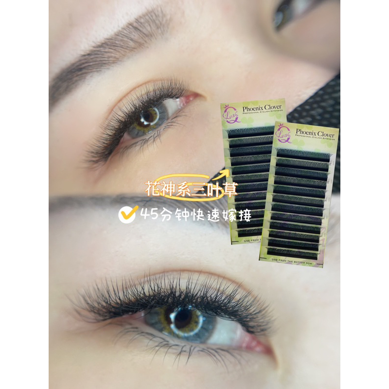 Phoenix Clover -Eyelash Extensions 花神系三叶草 | Shopee Malaysia