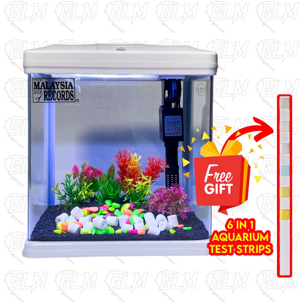🔥HOT SALE🔥 SOBO Mini Aquarium Set T-240F & AQUANICE Mini Aquarium Fish ...