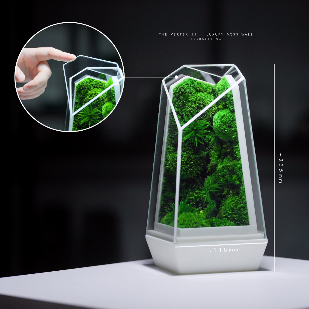 Export Grade: The Vertex II (S) - Luxury Moss Wall, ZERO Preserved Moss ...