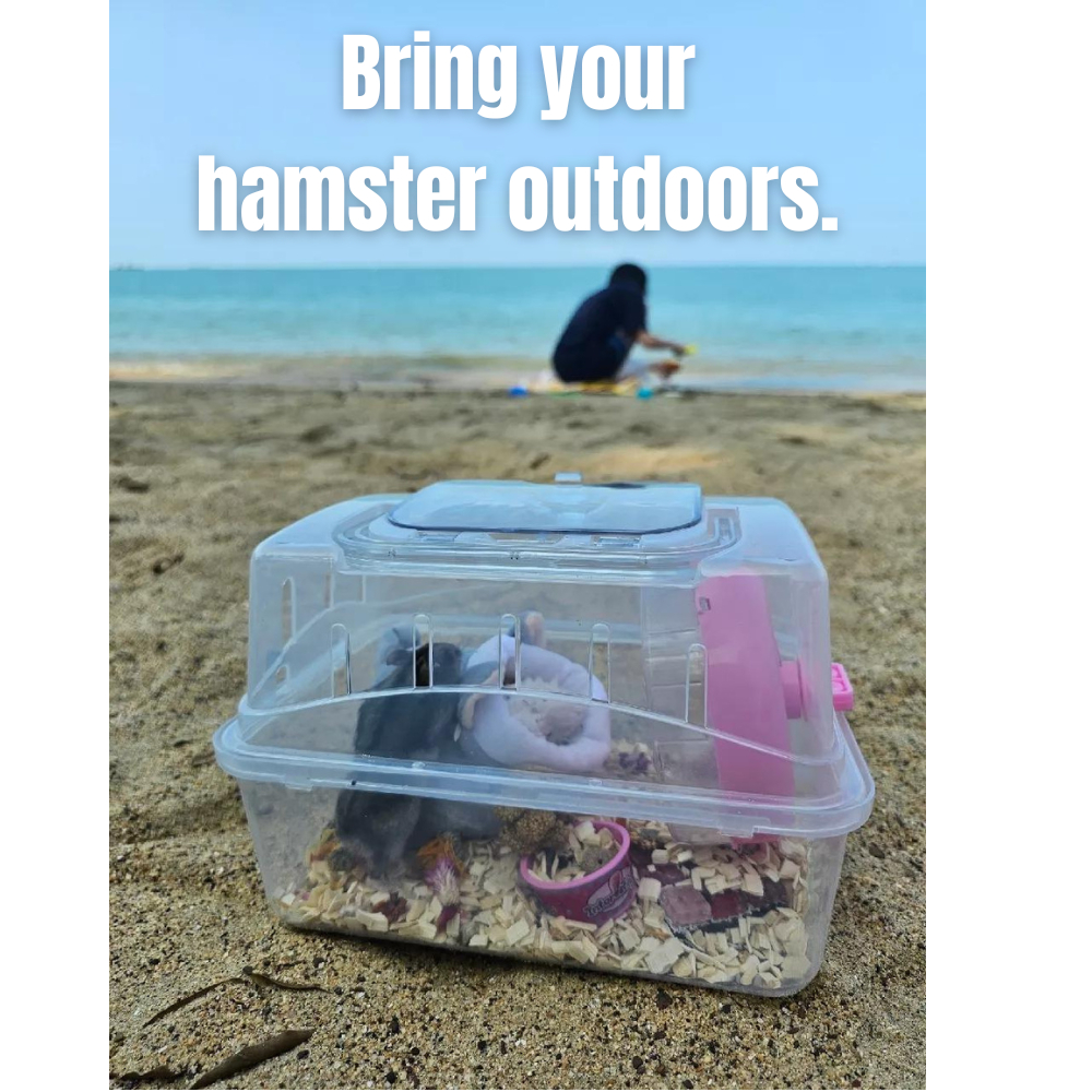 CHEAP HAMSTER CAGE MY (23*17*17CM) Color Transparent Top Cage Travel ...