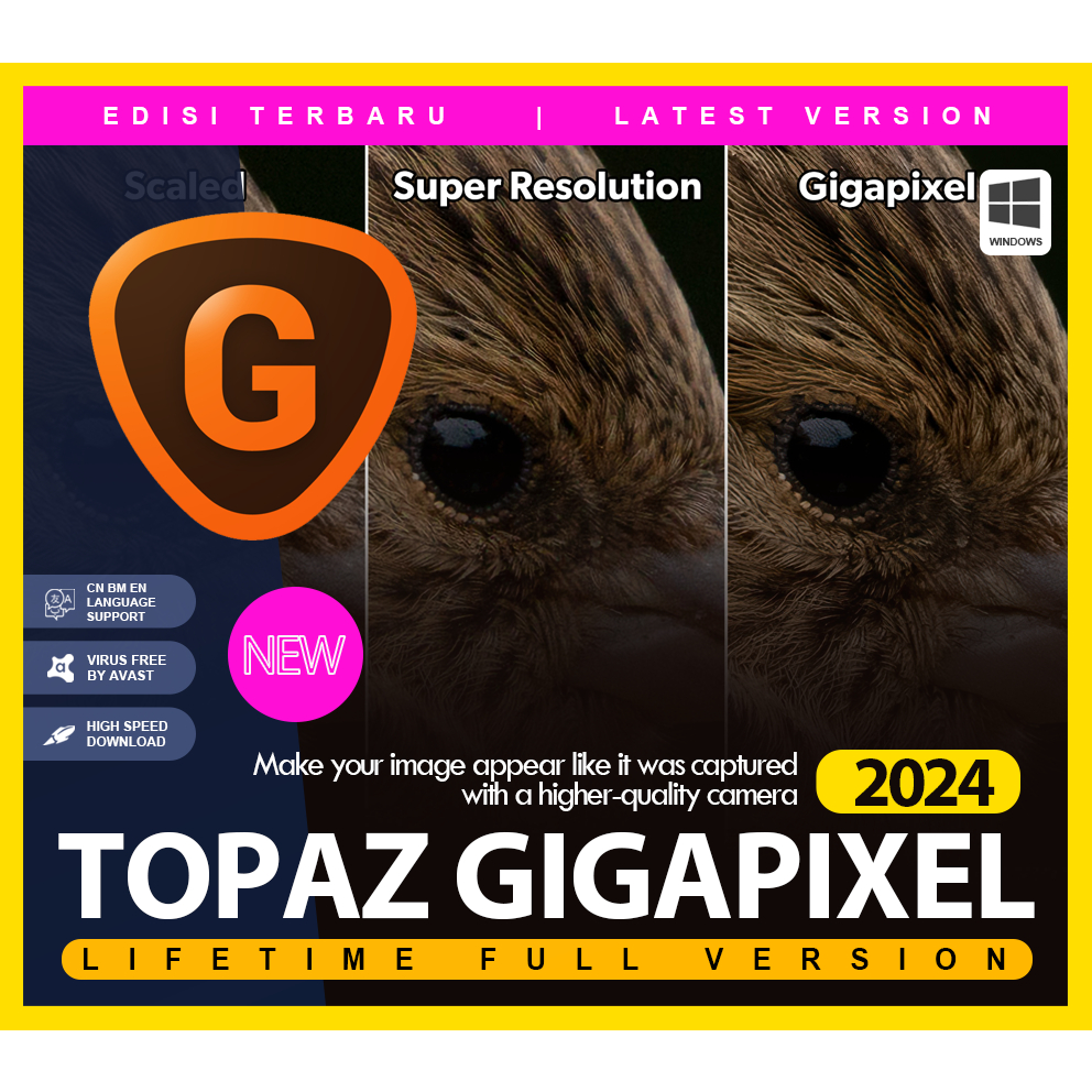 Topaz Gigapixel AI 8.0 🔶 Updated 2024🔶 100% works 🔶 for Windows PC ...