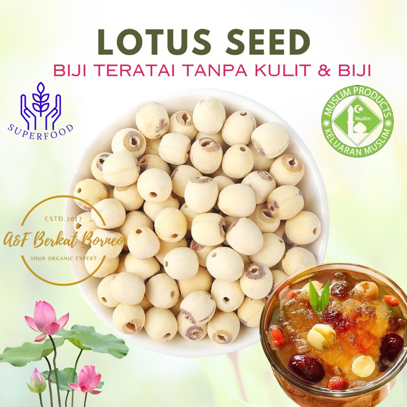Lotus Seed/Biji Teratai/Dessert Healthy | Shopee Malaysia