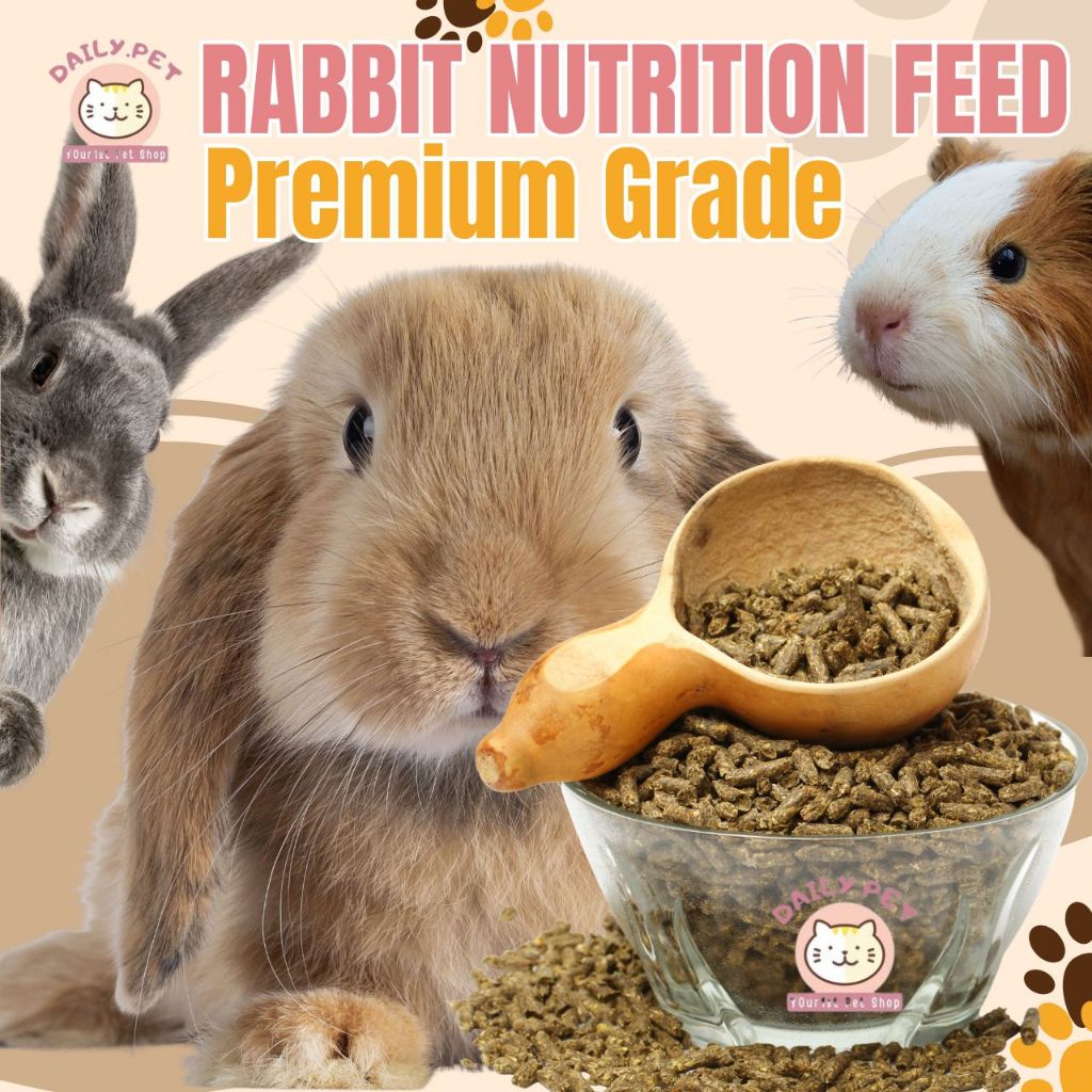 Premium Rabbit Feed 1KG Makanan Arnab Premium for Rabbits, Guinea Pigs ...