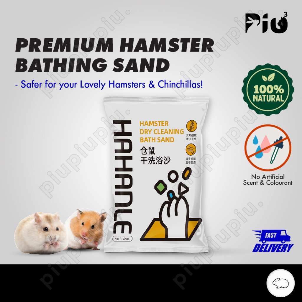 [24HR SHIP] PREMIUM HAMSTER BATHSAND 500g 1kg Natural Non-Scented ...