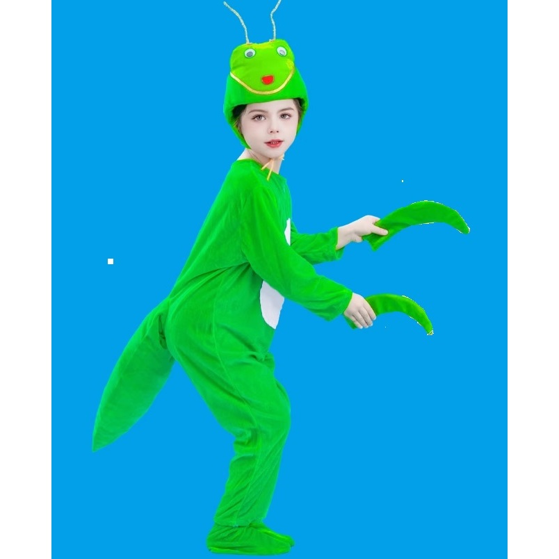 Kids Animal Costume Insect Costume Halloween Outfit Praying Mantis ...