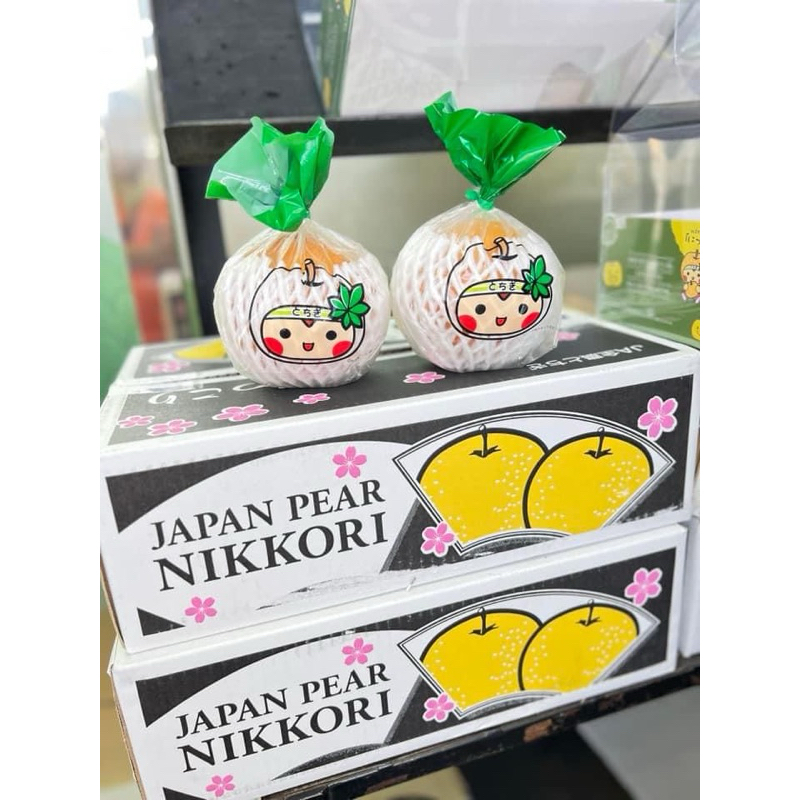 Japan Tochigi Nikkori Pear (Large size - 1kg+/pcs) | Shopee Malaysia