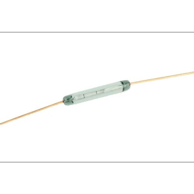 Magnetic Reed Switch (Big/Small) | Shopee Malaysia