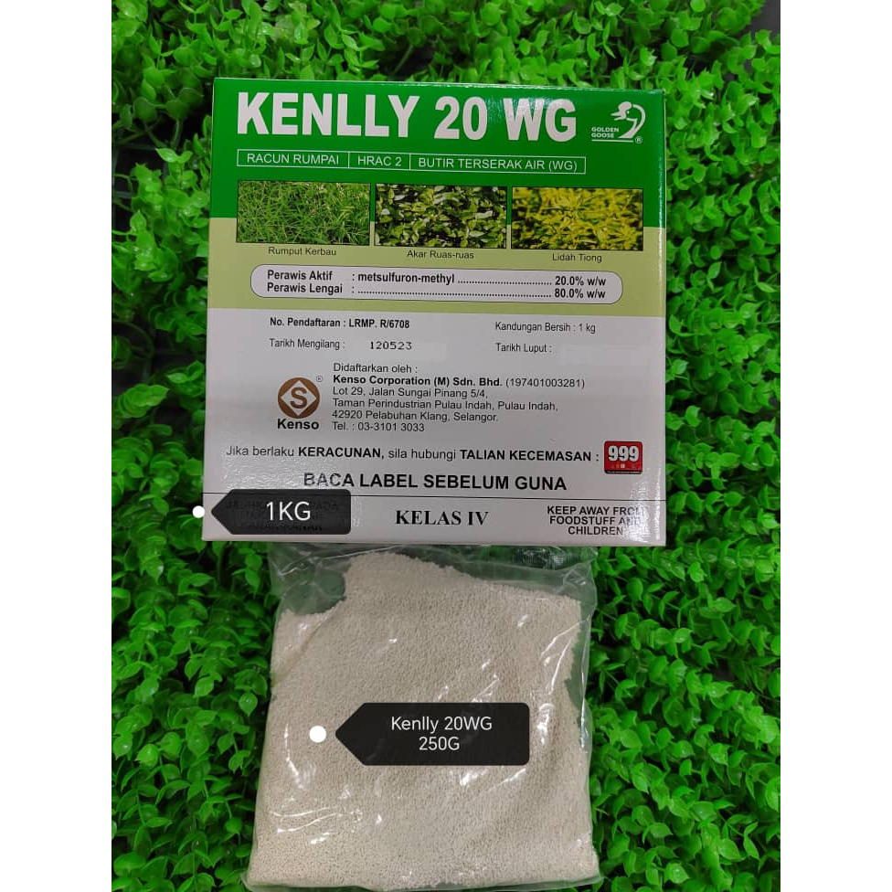 Kenlly 20WG (sama dengan Ally) 250G/ 1KG | Shopee Malaysia