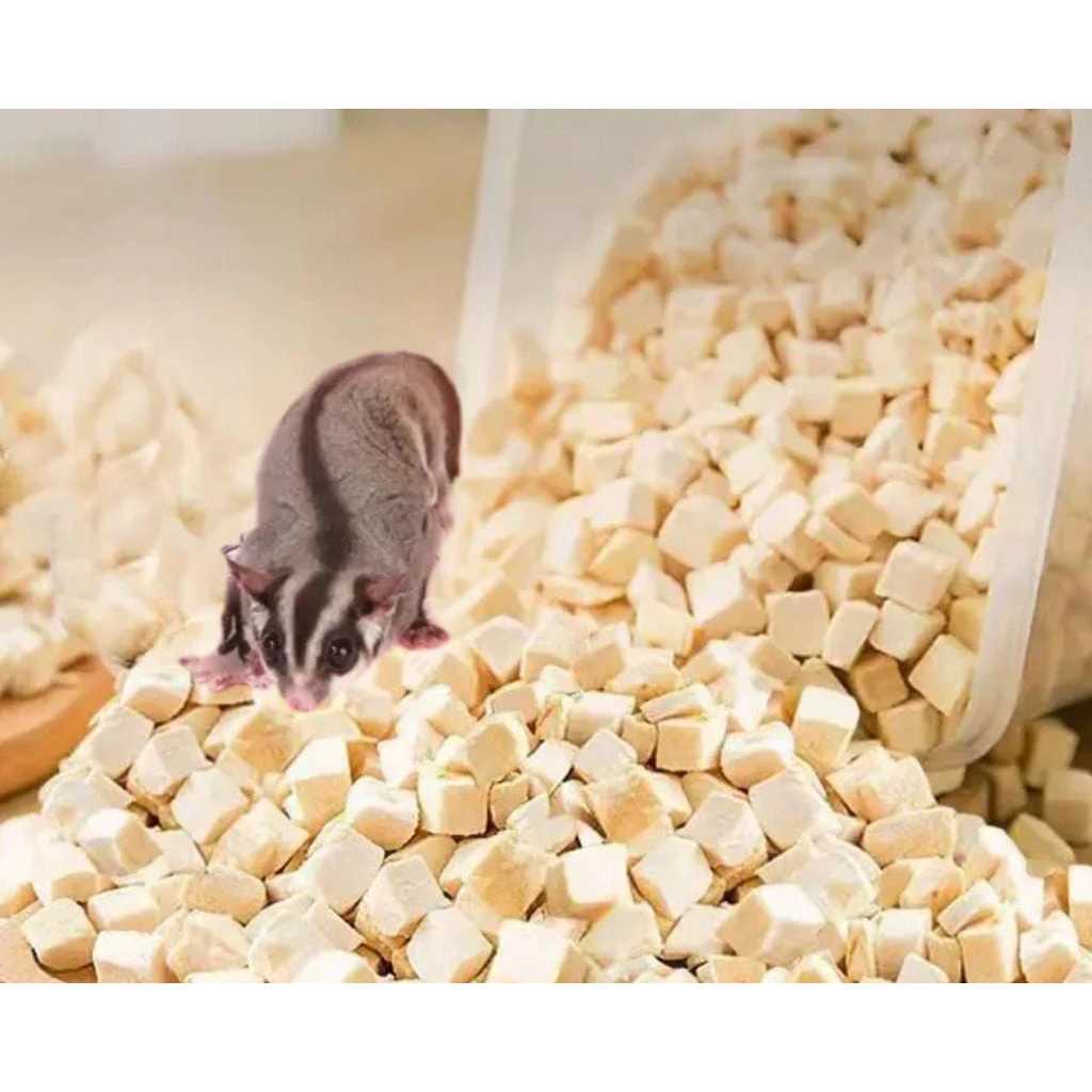Sugar Glider treat Hamster Freeze dried chicken cube dried egg york ...
