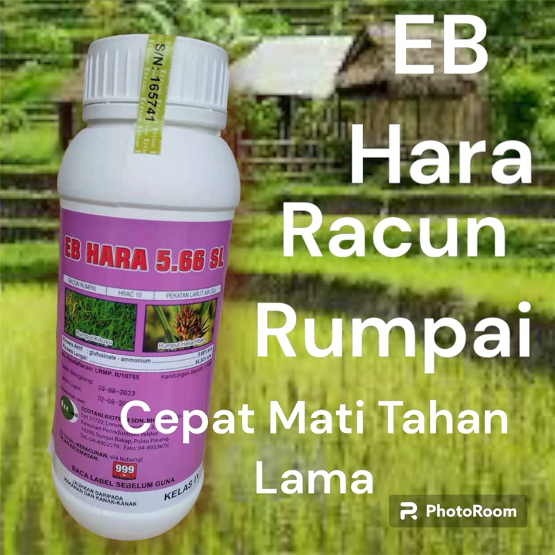 / Racun EB Hara5.66 / Racun Rumpai / Racun Rumput / Racun Rumput Cepat ...