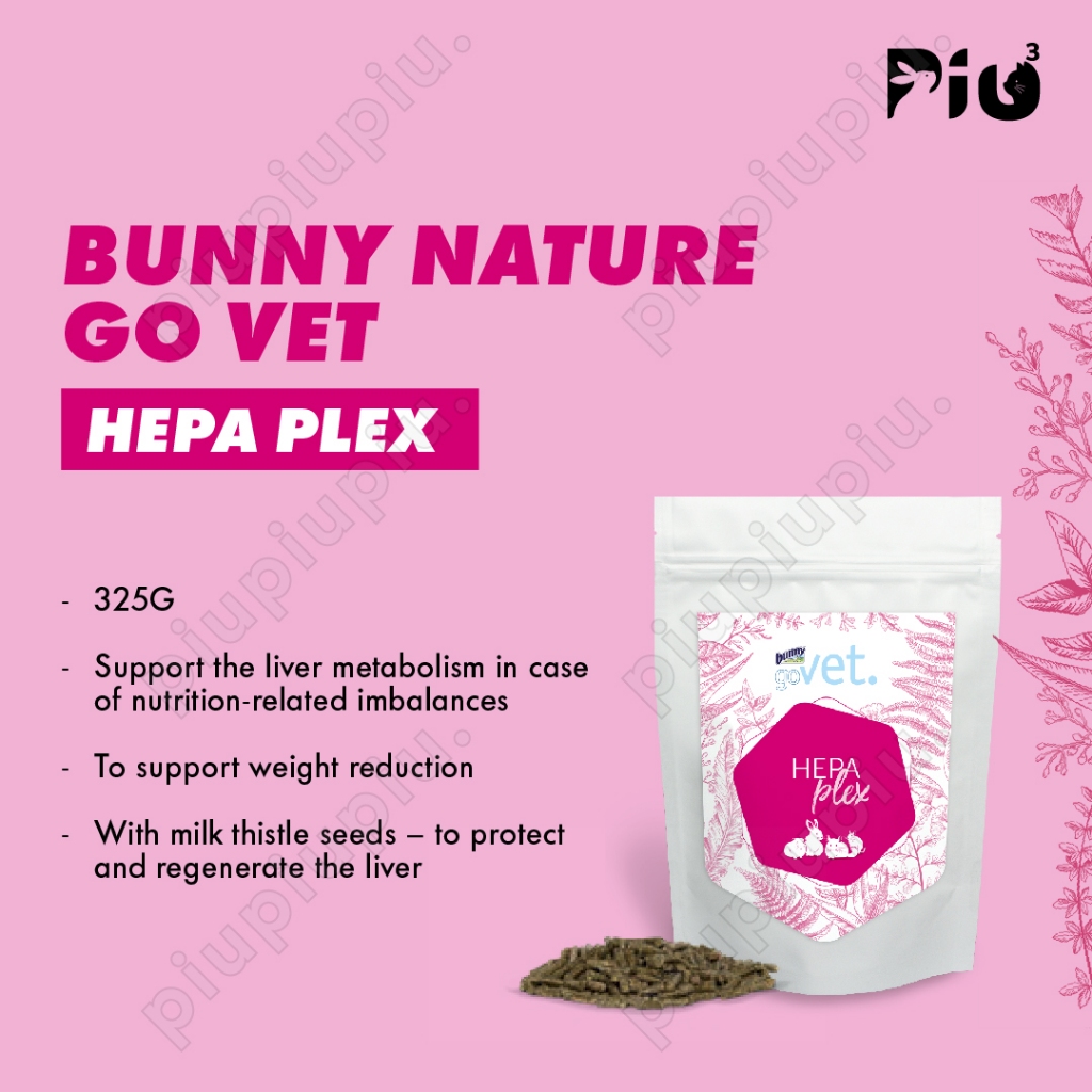 [24 HR SHIP] BUNNY NATURE goVet Rabbits Guinea Pigs Chinchillas Degus ...