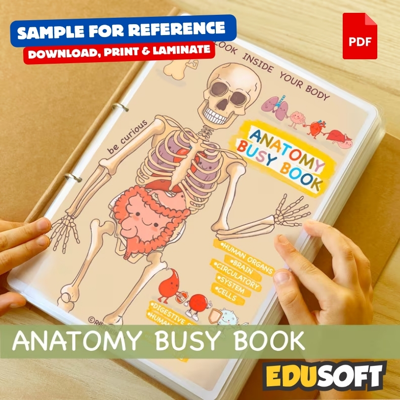 [ Soft Copy/ PDF ] Human Anatomy Busy Book Printable Preschool ...