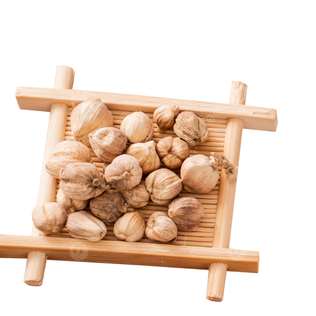 Kapulaga Biji/serbuk white cardamom 白豆蔻 白扣 baikou (Wurfbainia vera ...