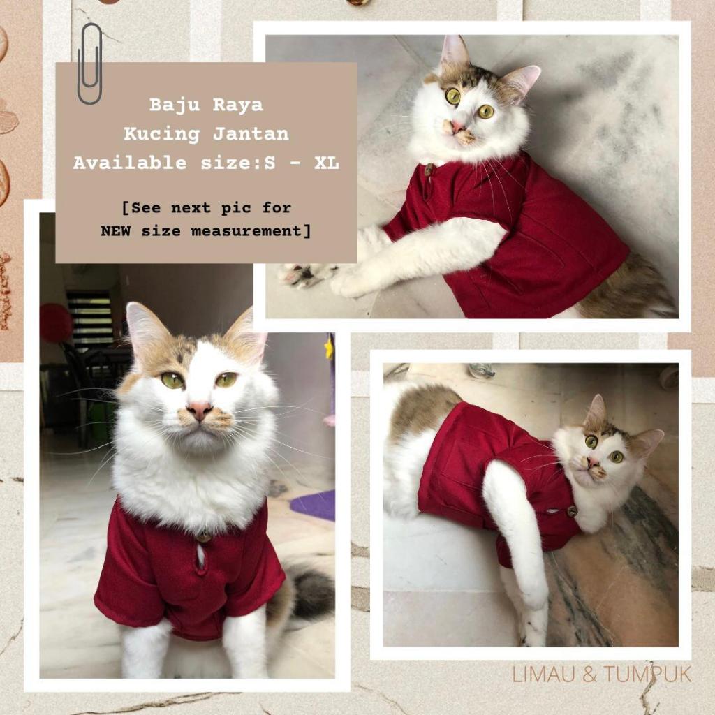 Baju Raya Kucing | Baju Melayu Kucing Jantan | Baju Raya Kucing Betina ...