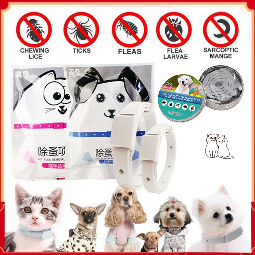 PetGrocer Anti Flea Tick Kutu Mite Cat Kucing Protection Collar ...