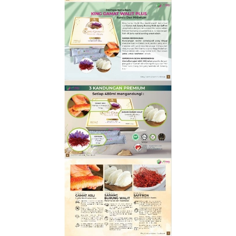 KING GAMAT WALIT PLUS LIQUID JELLY (KGWP) - Bird's Nest, Sea Cucumber & Saffron - Sarang Burung ...