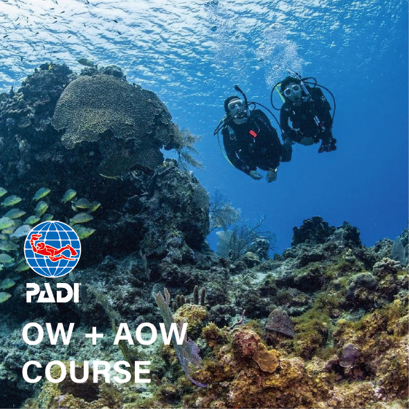 PADI OW+AOW DIVER COURSE REDANG TIOMAN ISLAND | Shopee Malaysia