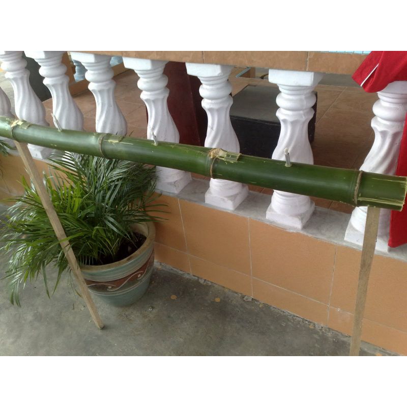 pelita buluh / panjut buluh | Shopee Malaysia