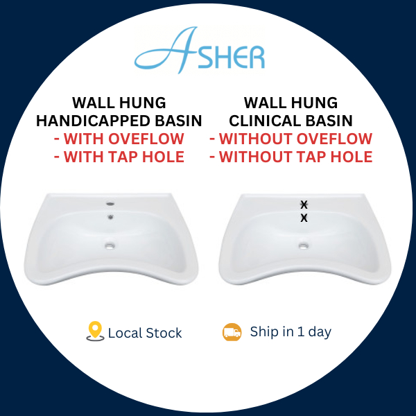 Asher 550MM Wall Hung Wash Basin Hospital Ceramic Handicapped Basin ...