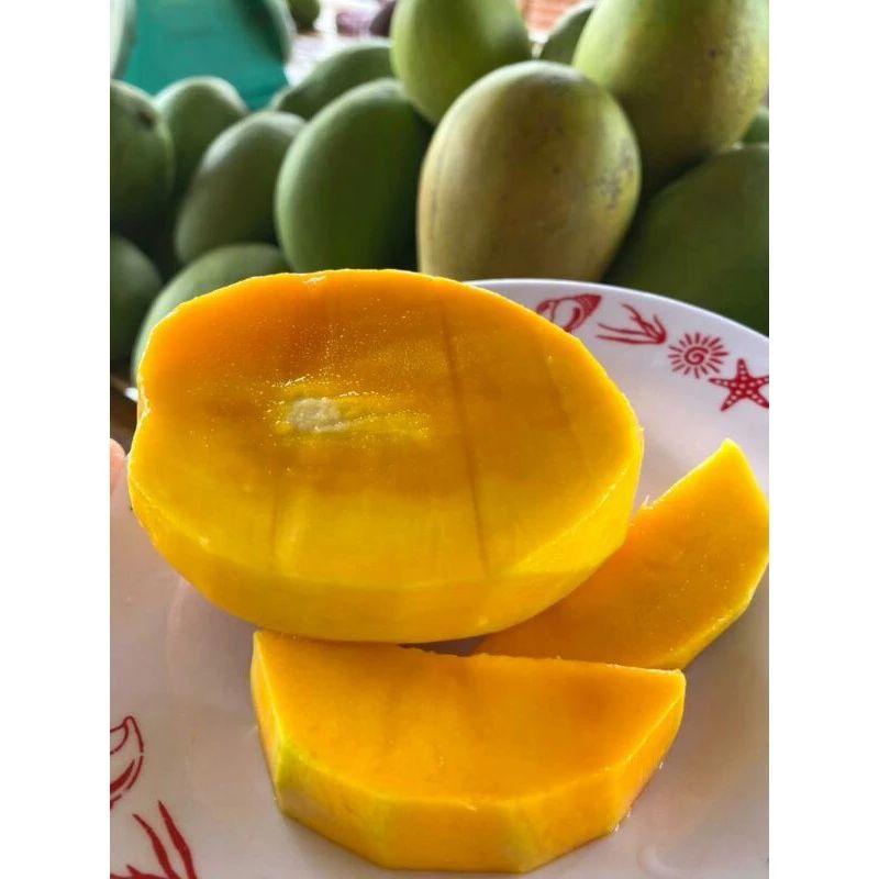 Mangga Harum Manis Perlis 1kg | Shopee Malaysia
