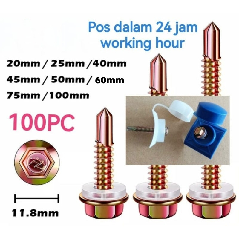 Skru Atap Bumbung / Self Drilling Screw Hex Head / Skru oning / cap for ...