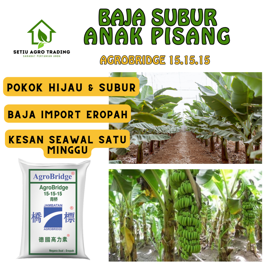 Baja Subur Anak Pokok Pisang | Baja 15.15.15 | Baja hijau daun | Baja Pisang | Agrobridge 15.15. ...