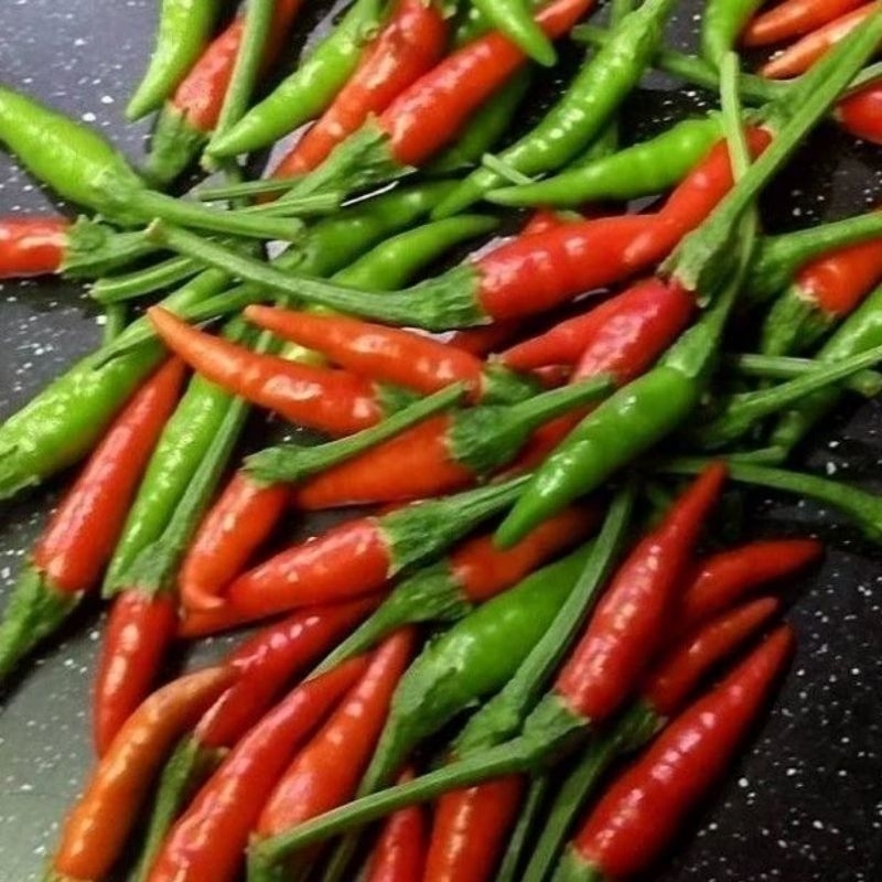 🔥Viral🔥20 Biji Benih Cili Padi Pedas Berapi / Small Hot Chili Seeds ...