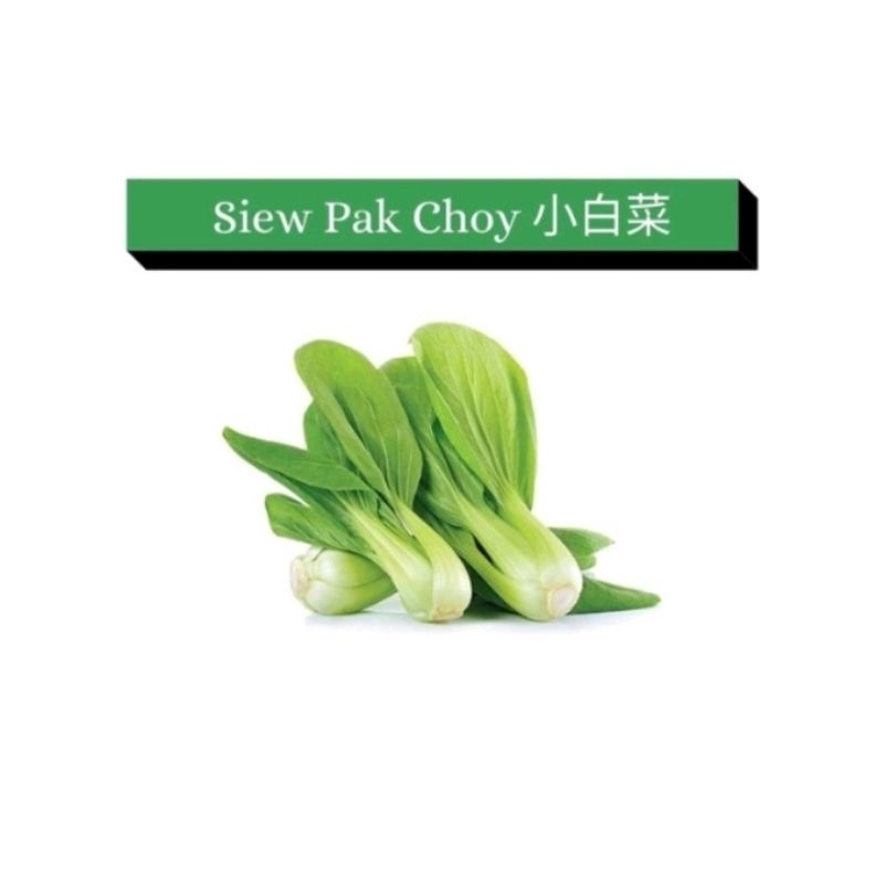 Siew Pak Choy // Sawi Kecil 小白菜 1PKT (450g-550g) Daily Fresh Vegetable ...