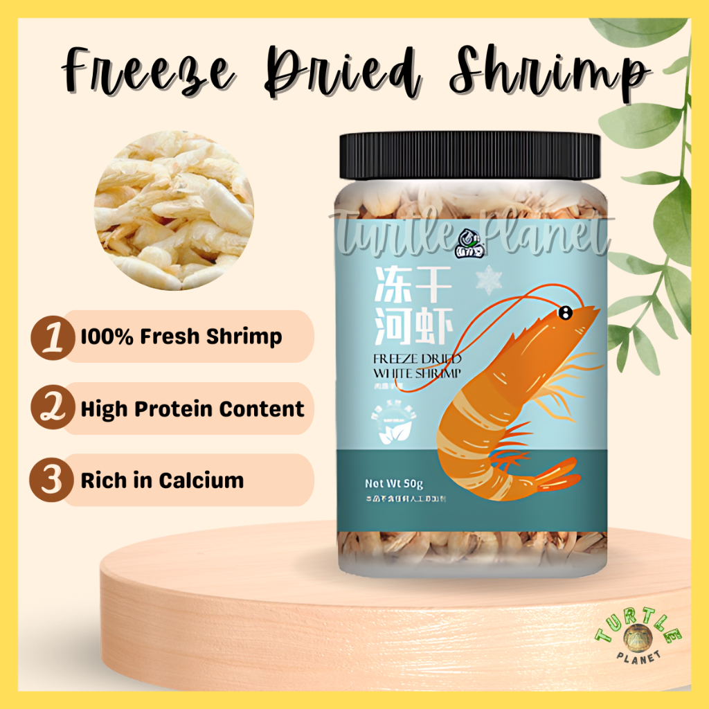 Premiun dried white shrimp turtle food udang kura kura arowana aquarium ...