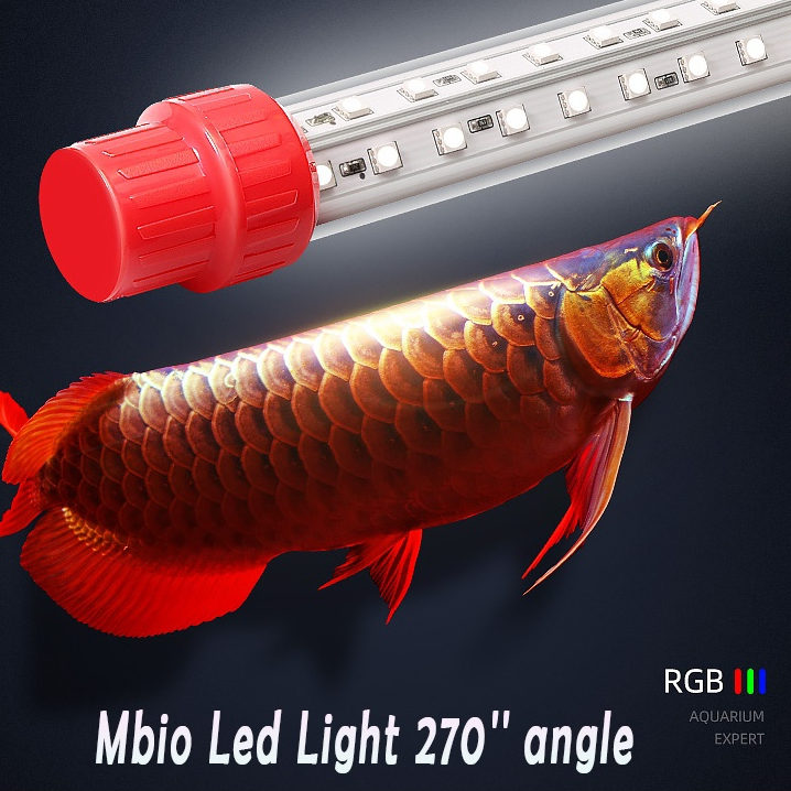 Mbio Led Light Arowana goldfish Cichlid Red Parrot Fish Ikan Aquarium ...
