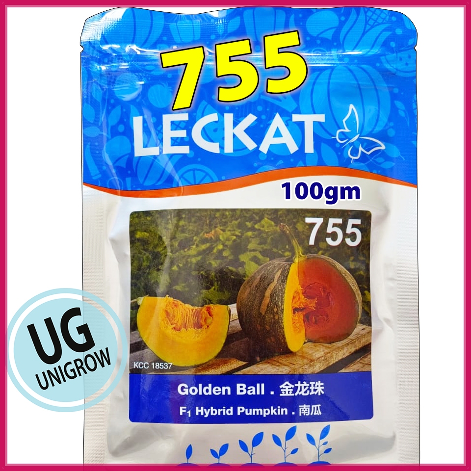 (20gm & 100gm) F1 Golden Ball 755 Labu Manis Benih Leckat / Pumpkin ...