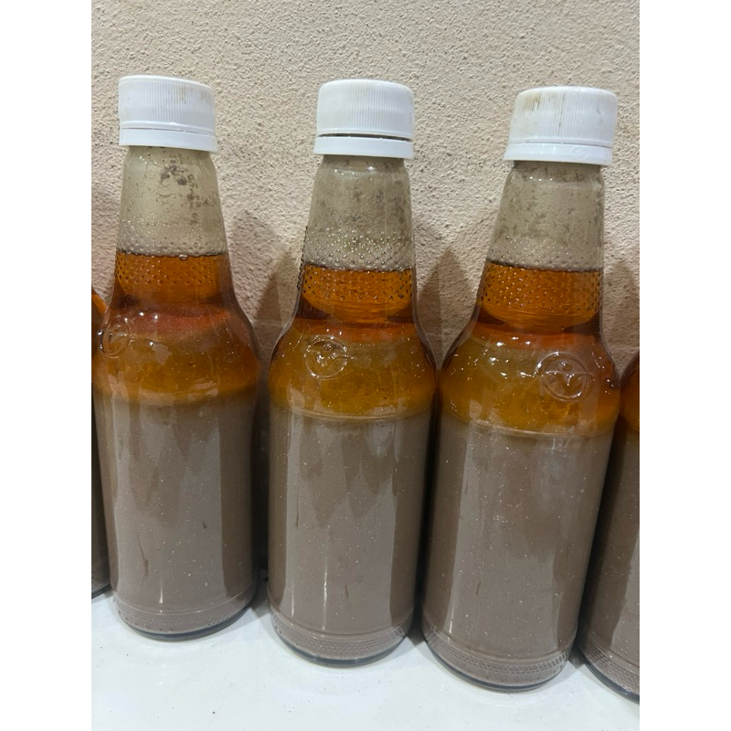Budu Tempayan Pengkalan Batu Pasir Mas (1 Botol 450ML) | Shopee Malaysia