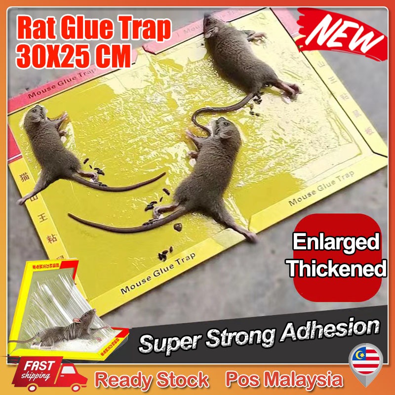 Super Glue Mouse Trap Snake Bugs Rat Mice Catcher Board Foldable Pest ...