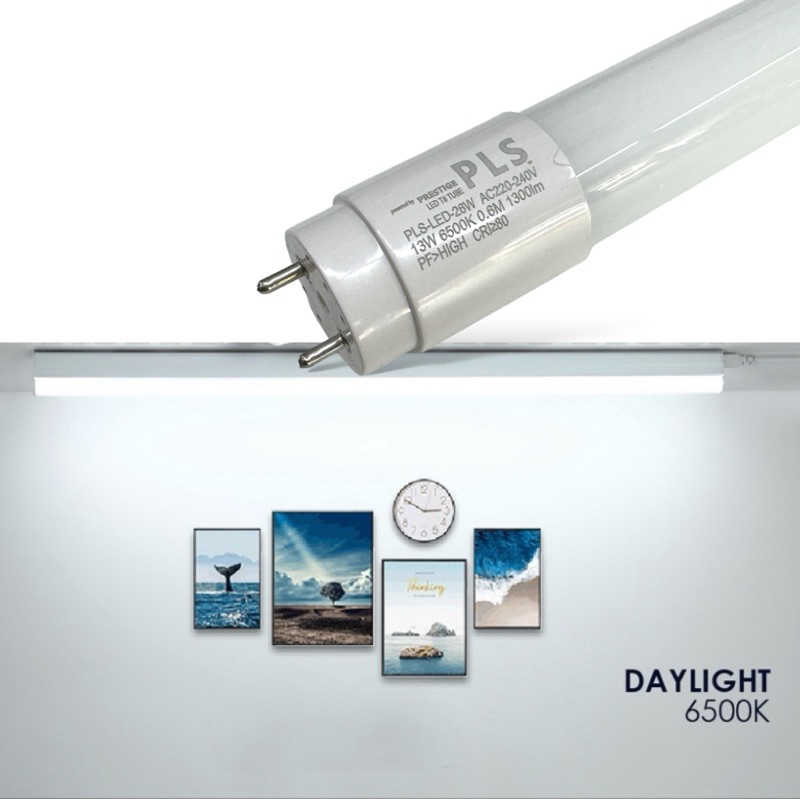 13W 2FT T8 LED GLASS TUBE DAYLIGHT 6500K 1 BOX(30PCS) | Shopee Malaysia