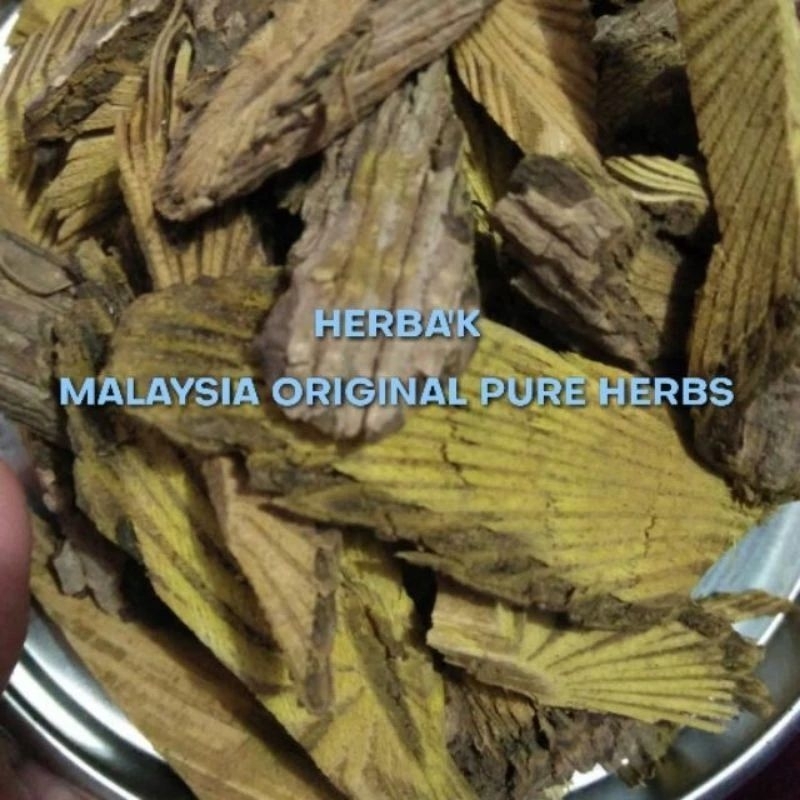 PENAWAR RESDUNG, HERBA AKAR MENGKUNYIT, RAJA PENAWAR RESDUNG | Shopee Malaysia