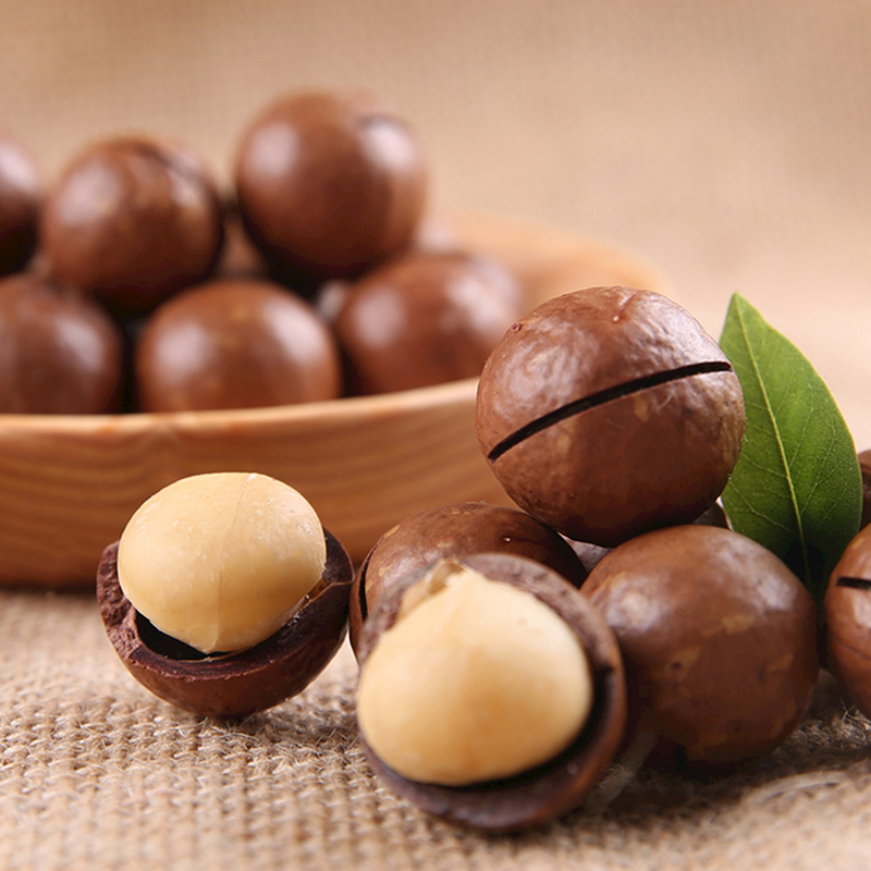 【READY STOCK】Ready To Eat ROASTED Macadamia Nuts 500g With Shell ...